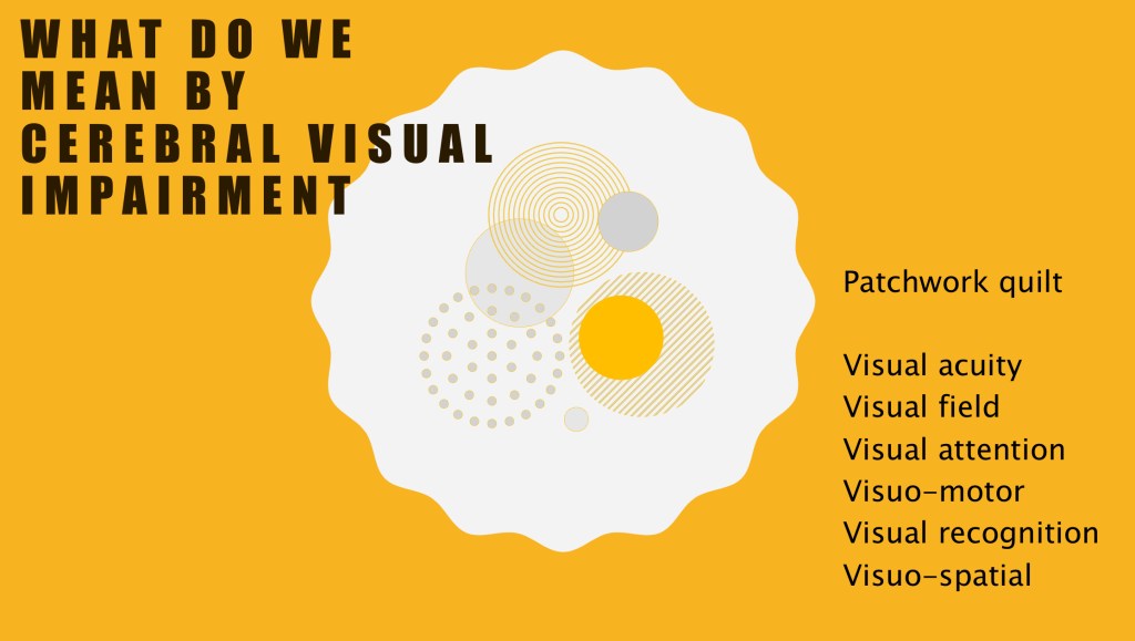 Make It Easier for QTVI & Schools – Make It Easier To See